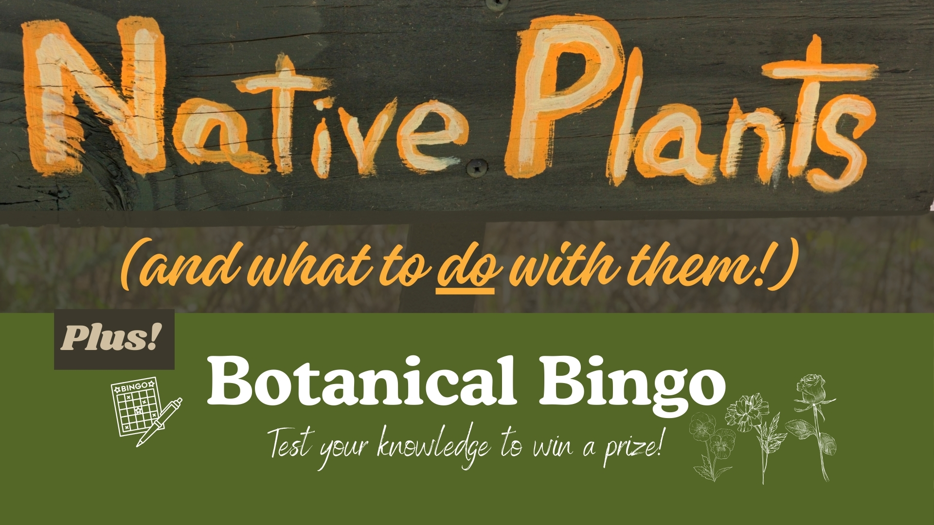 Native Plants Q&A and Botanical Bingo, June 26, 2024 - What's On Quinte